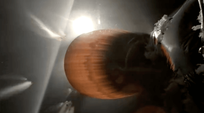 News | SpaceX Falcon 9 Suffers In Flight Engine Failure, Starlink